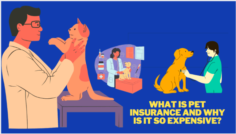 What is pet insurance and why is it so expensive? [ The Complete Guide ]