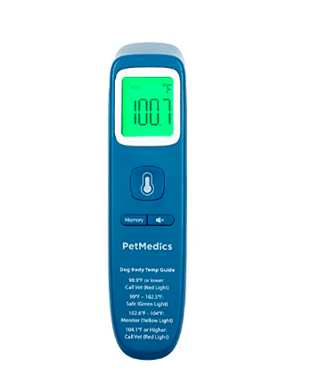 Top 10 Best Dog Thermometers According to Veterinarians for Pets (2022)