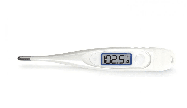 Top 10 Best Dog Thermometers According to Veterinarians for Pets (2022)