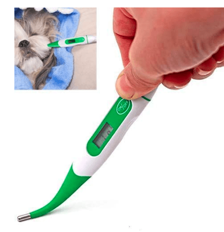 Top 10 Best Dog Thermometers According to Veterinarians for Pets (2022)