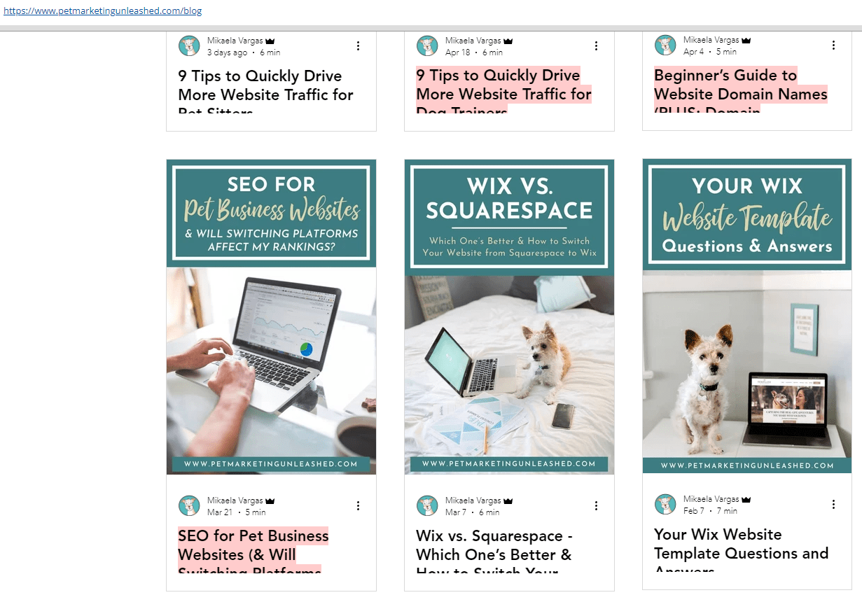 MT: Pet Email Template Creation Guide