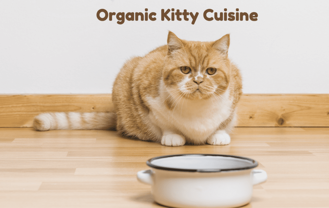 Organic Kitty Cuisine: A Guide To Tasty And Nutritious Cat Food | 2025