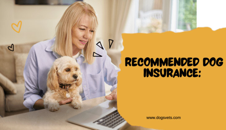 Recommended Dog Insurance: A Comprehensive Guide