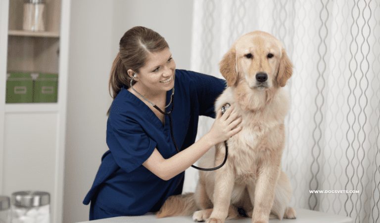 How to Check a Dog's Pulse: A Comprehensive Guide