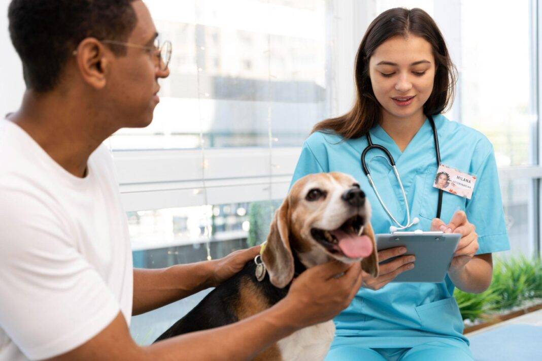 10 Most Common Animal Diseases Caused by Bacterial or Viral Infections