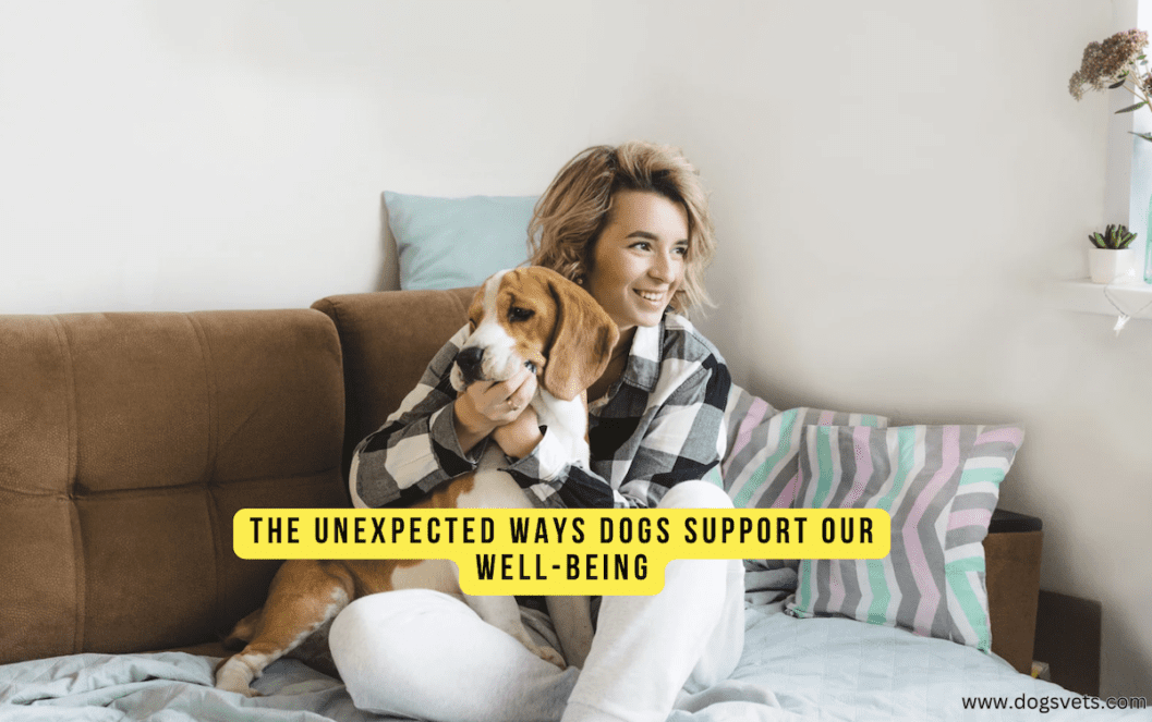 More than walks in the park: The unexpected ways dogs support our well ...