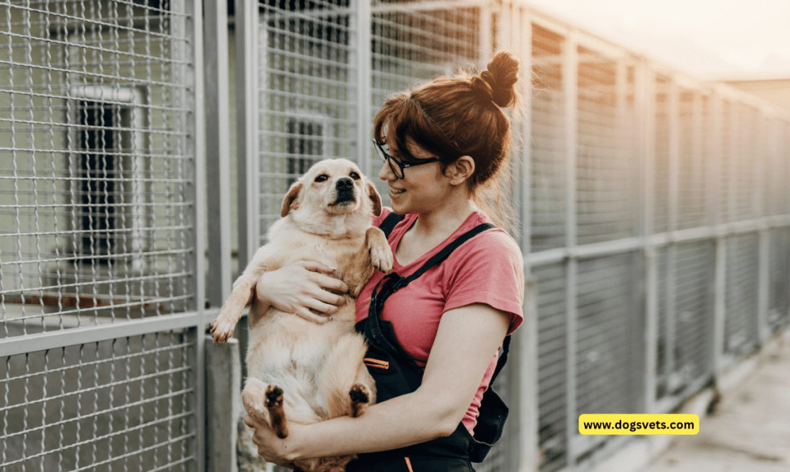 Do Rescue Dogs Remember Their Past Lives? Experts Tips (With FAQs)