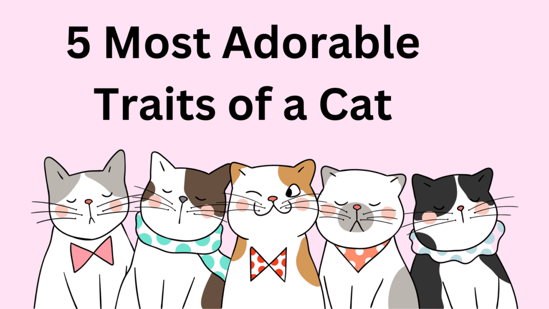 5 Most Adorable Traits Of A Cat: Unleashing The Feline Power Of ...