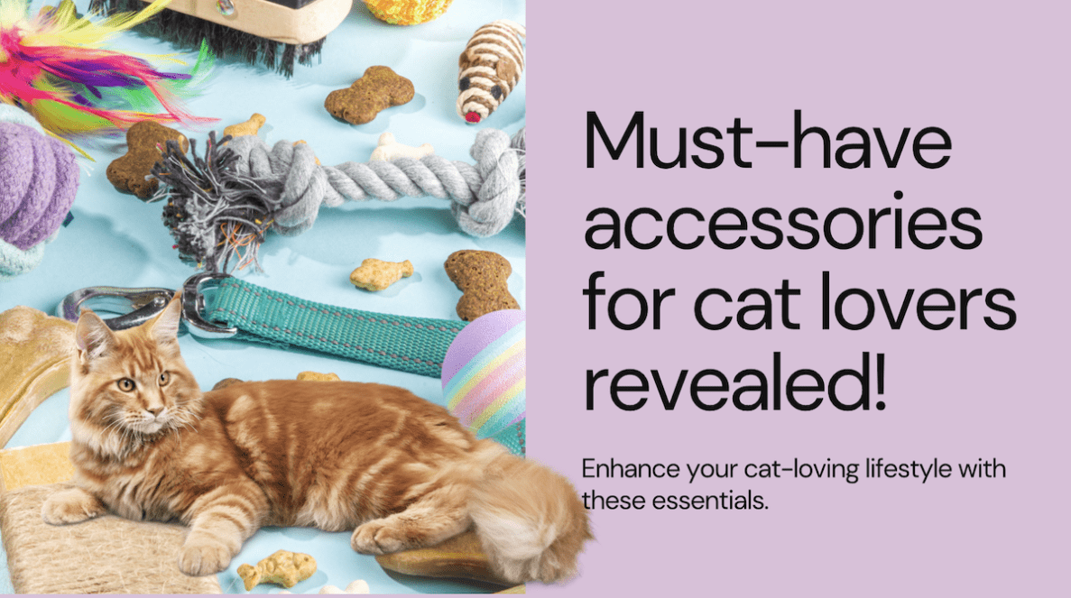 Top 7 Essential Accessories for Cat Lovers Unveiled