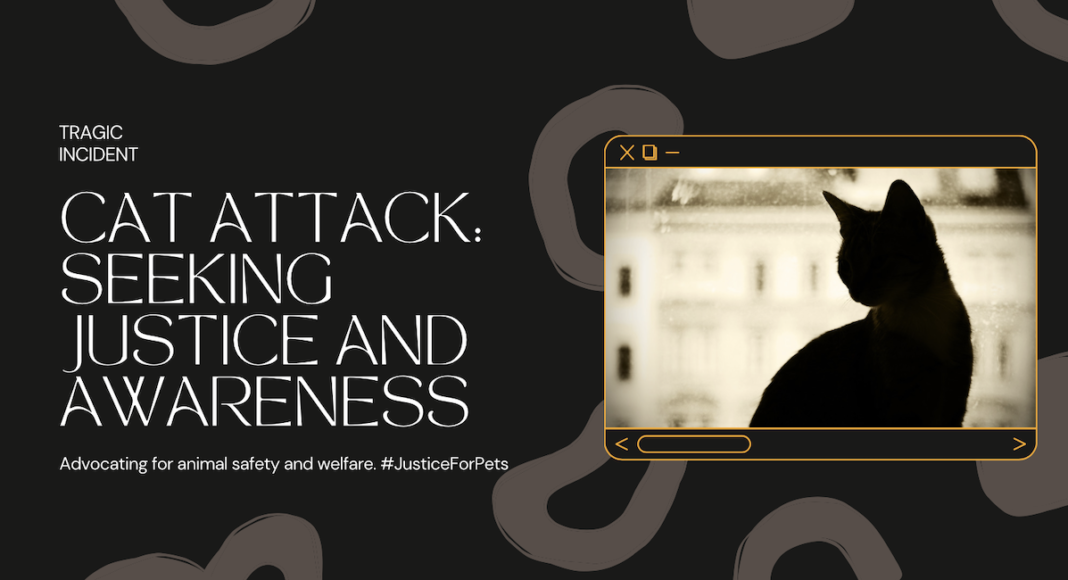 Tragic Incident: Cat Brutally Shot And Mauled By Dogs | 2025