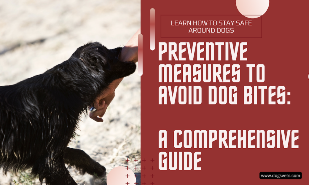 What is dog smegma? Symptoms + Treatment (10 things to know)