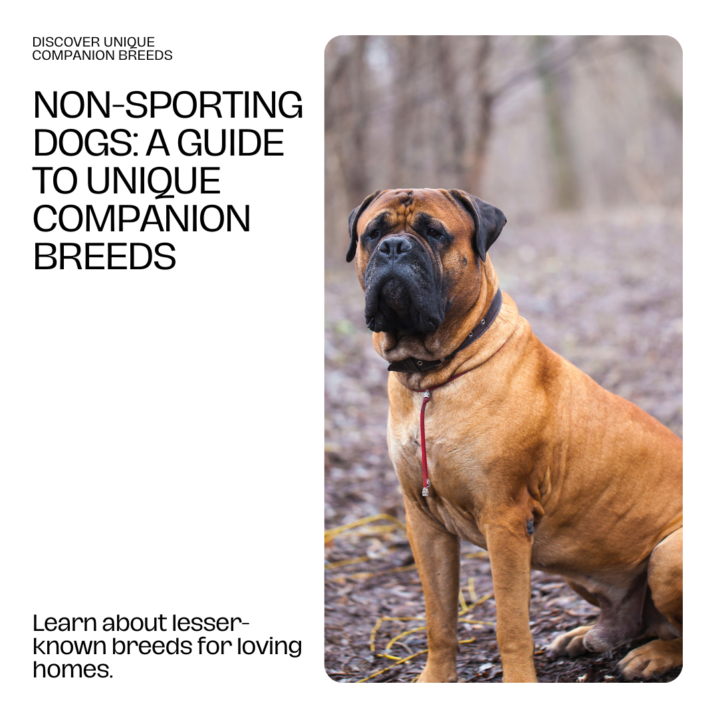 non-sporting dogs