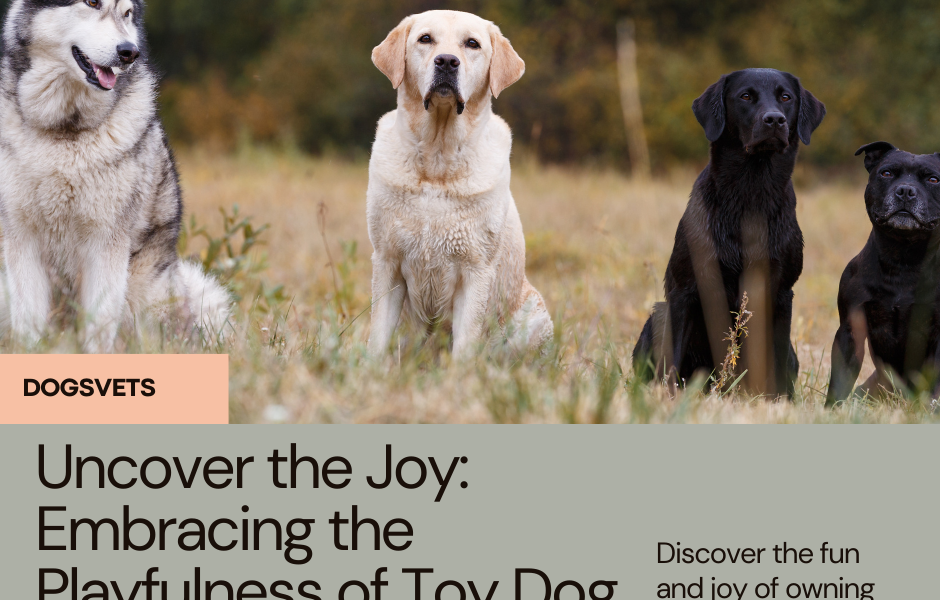 Embracing the Playfulness of Toy Dog Breeds | 2024