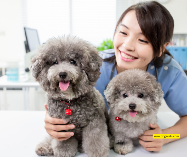 Top 9 kineskih pasmina pasa sa fascinantnom pozadinom | Veterinari pasa ...