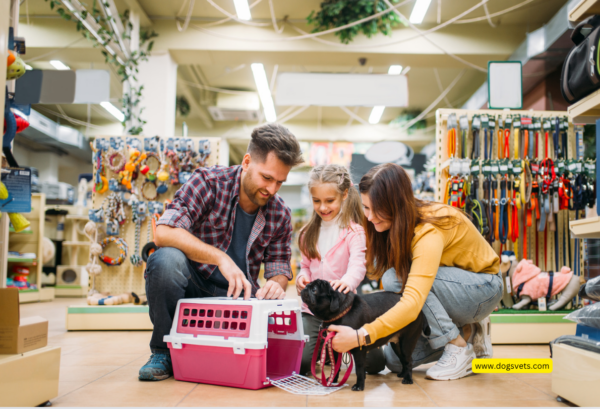 Top 10 Best Places To Buy Puppies In The United States | 2025