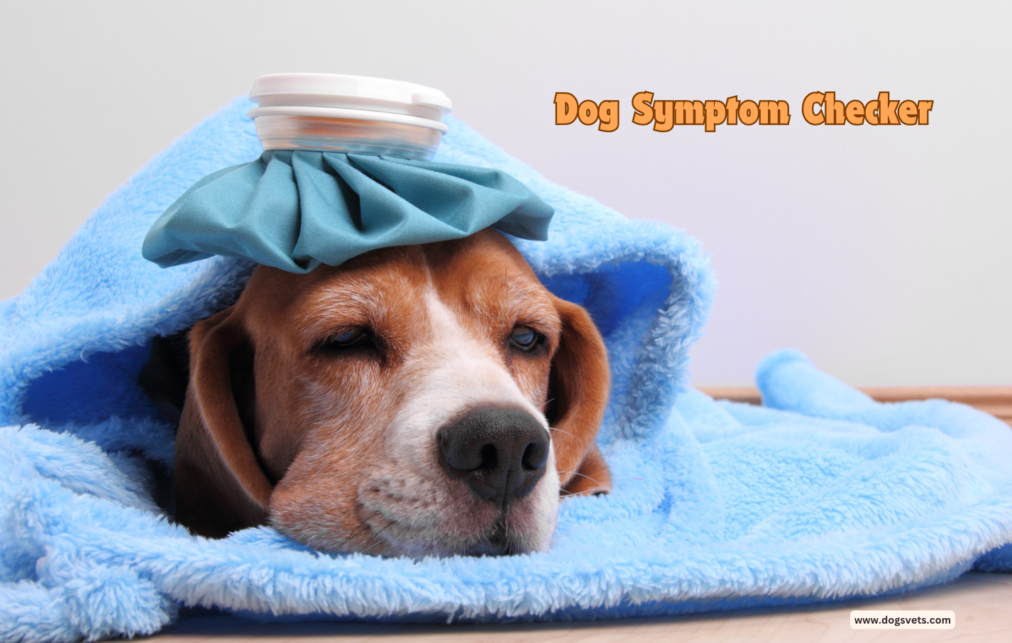 Dog Symptom Checker - DogsVets – Expert Dog Care, Breeds, Training & Tools