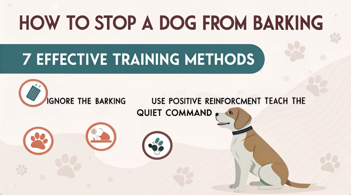 How to Stop a Dog from Barking: 7 Effective Training Methods